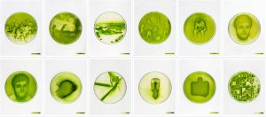 Photographer Grows Organic Photos From Algae - DIY Photography