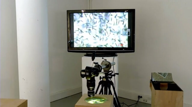 Photographer Grows Organic Photos From Algae - DIY Photography
