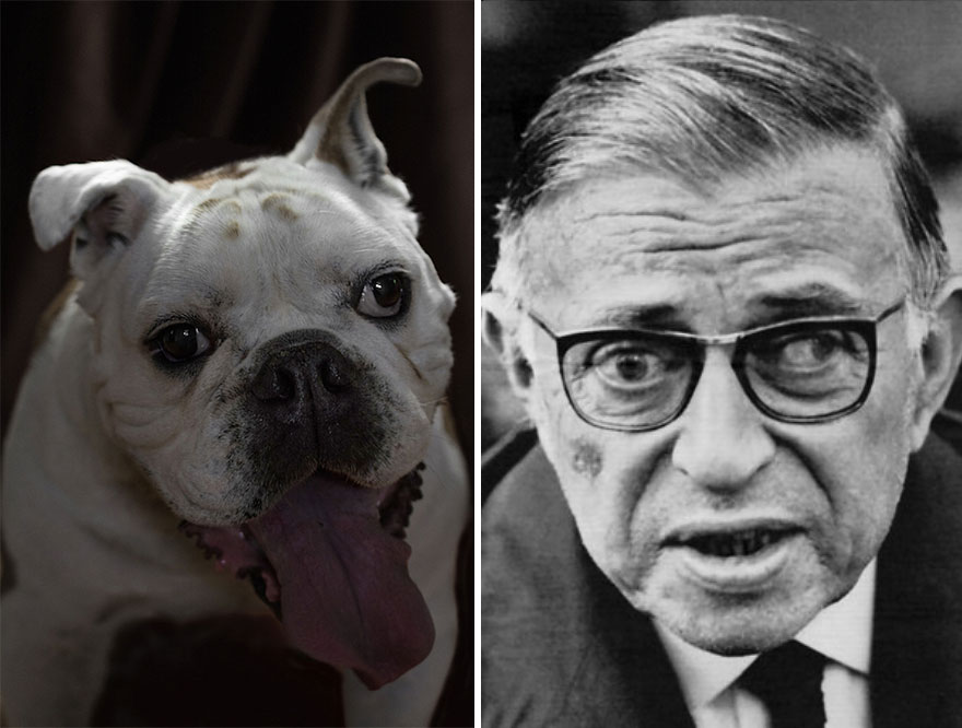 Photos Of Dogs Along With Their Look Alike Poets - DIY Photography