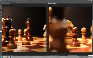 The best way to do a focus stacking: Macro Focusing Rails vs Focus ...