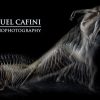 Build your own Speedlight power pack - a pictorial with Manuel Cafini ...