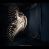 Capturing motion in-camera using flash, with Manuel Cafini - DIY ...
