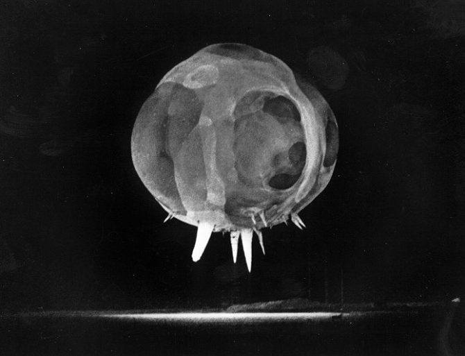 These photos of nuclear explosions were taken one ten-millionth of a ...