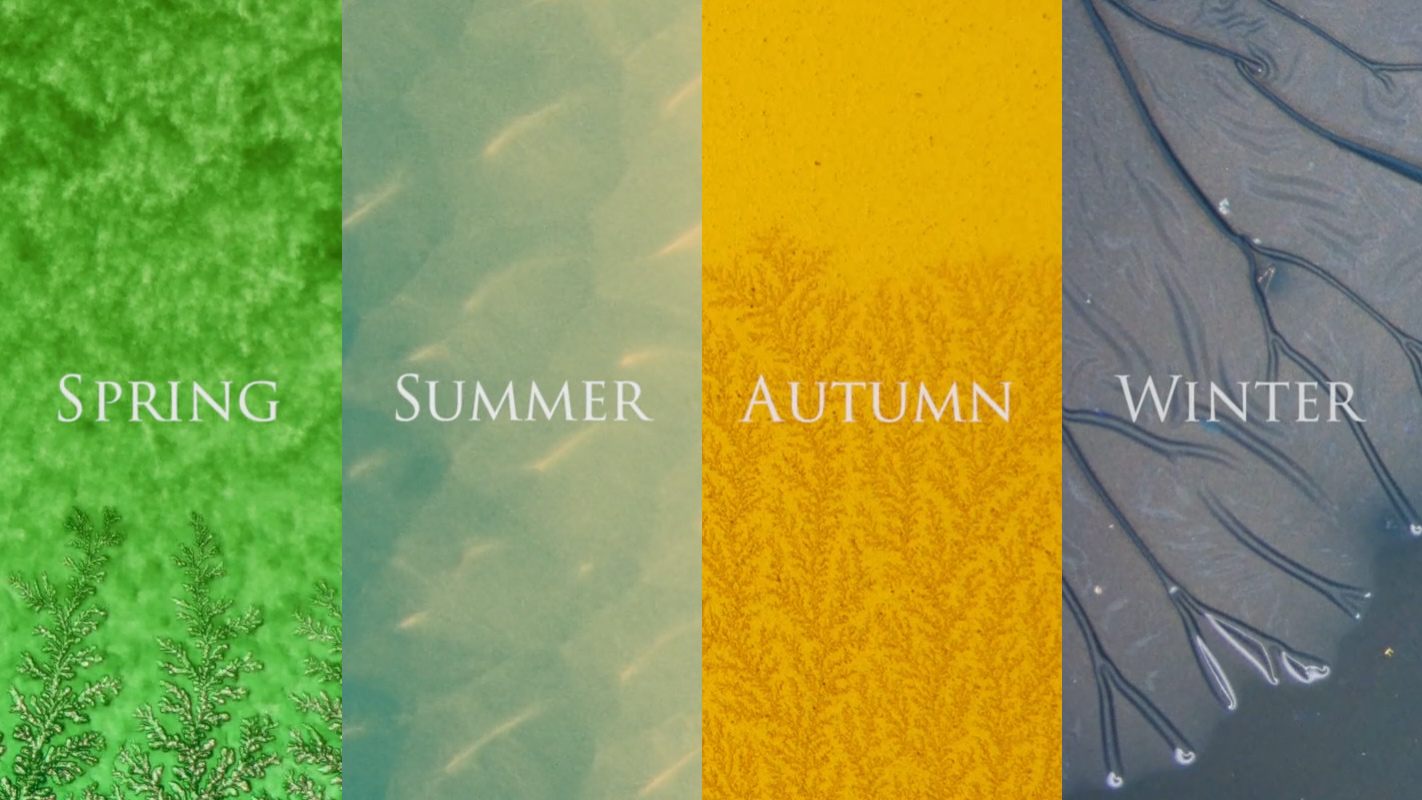 This stunning video captures all four seasons through microscopes and ...