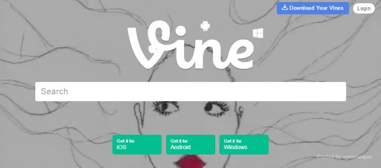 This is the last chance to download your Vines before they're gone