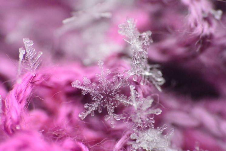 A simple setup for taking fantastic snowflake photos - DIY Photography