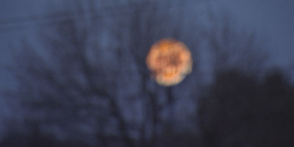 Photographer wanted to capture Moon, but then he focused and saw his ...
