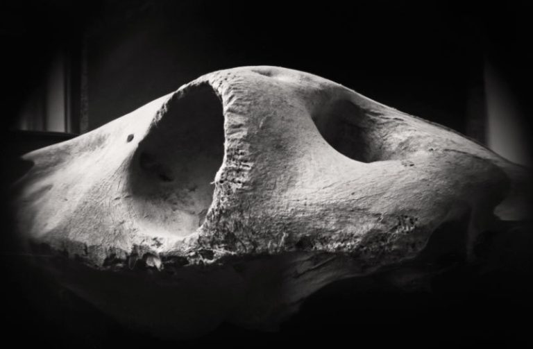 This artist creates unique pinhole cameras made of clay