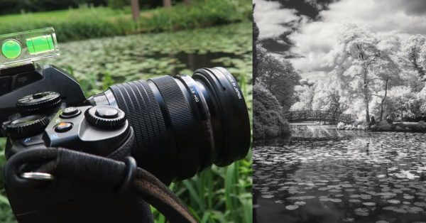 How to shoot infrared without converting your camera