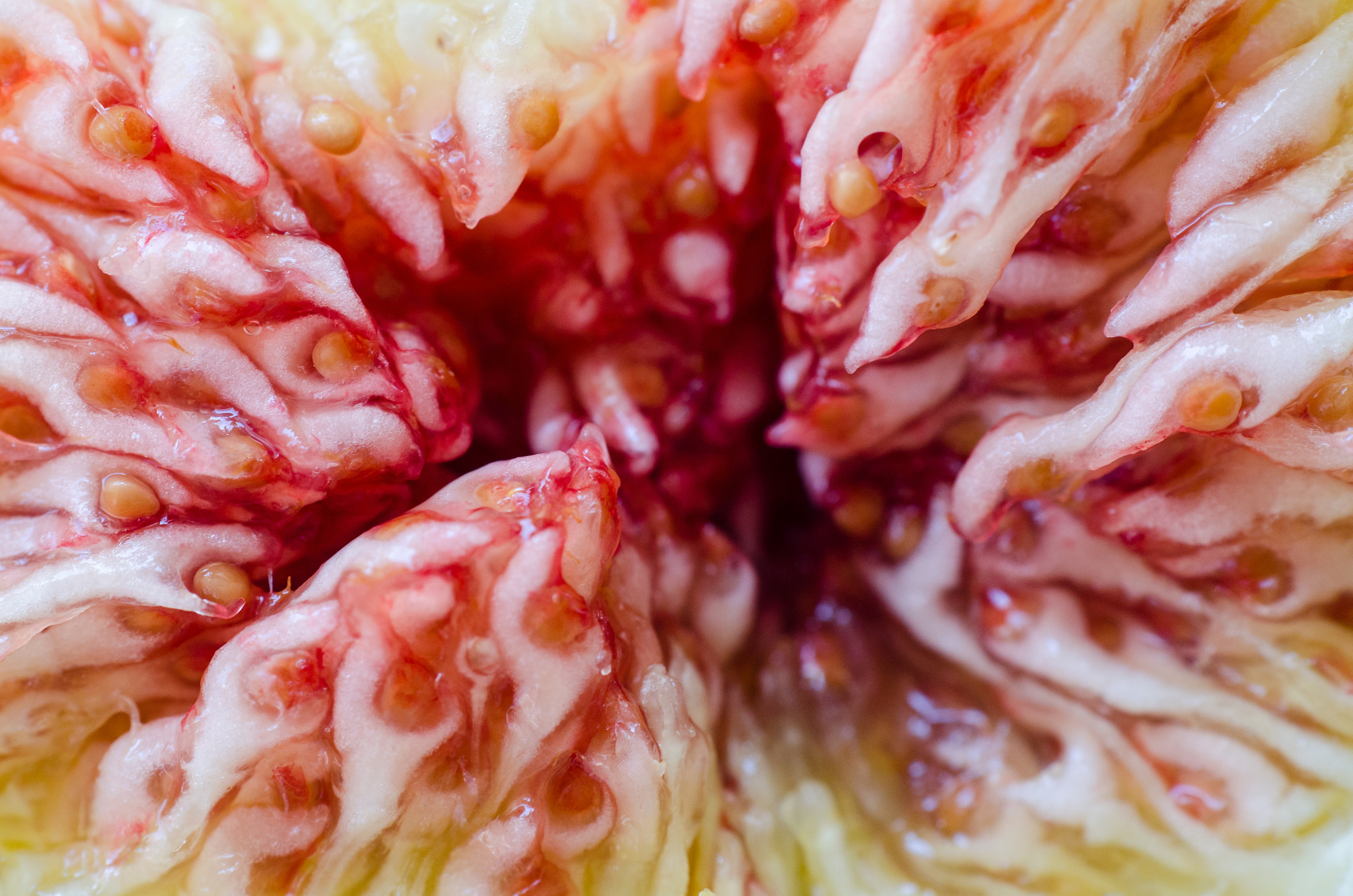 Should You Create Photos Without Dominant Subjects 