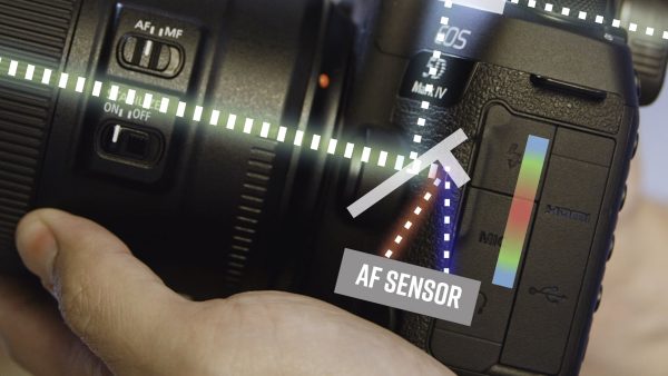 Contrast vs Phase Detection autofocus - What it means and why it matters.