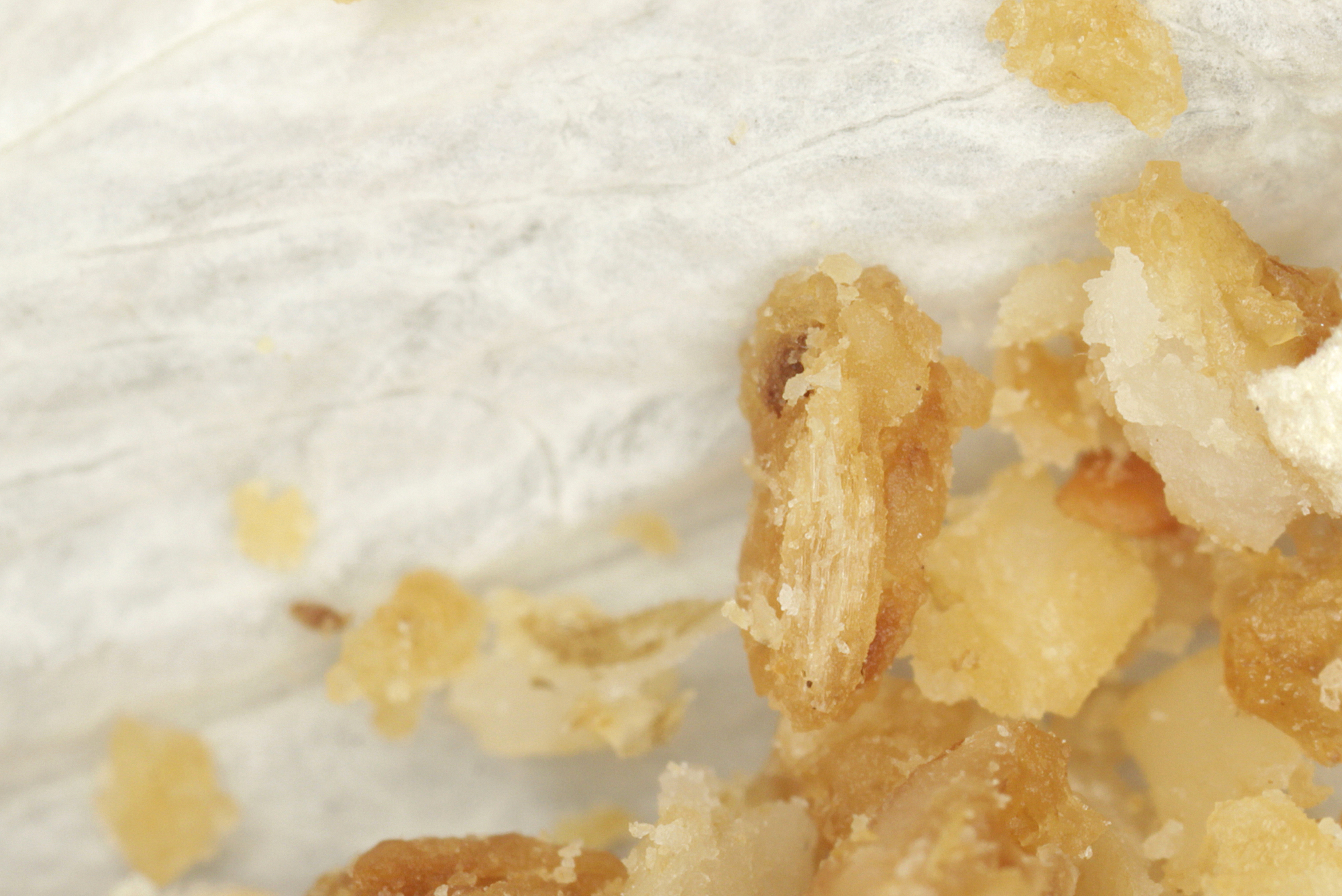 Check out the world's first terapixel macro photo of a food mosaic