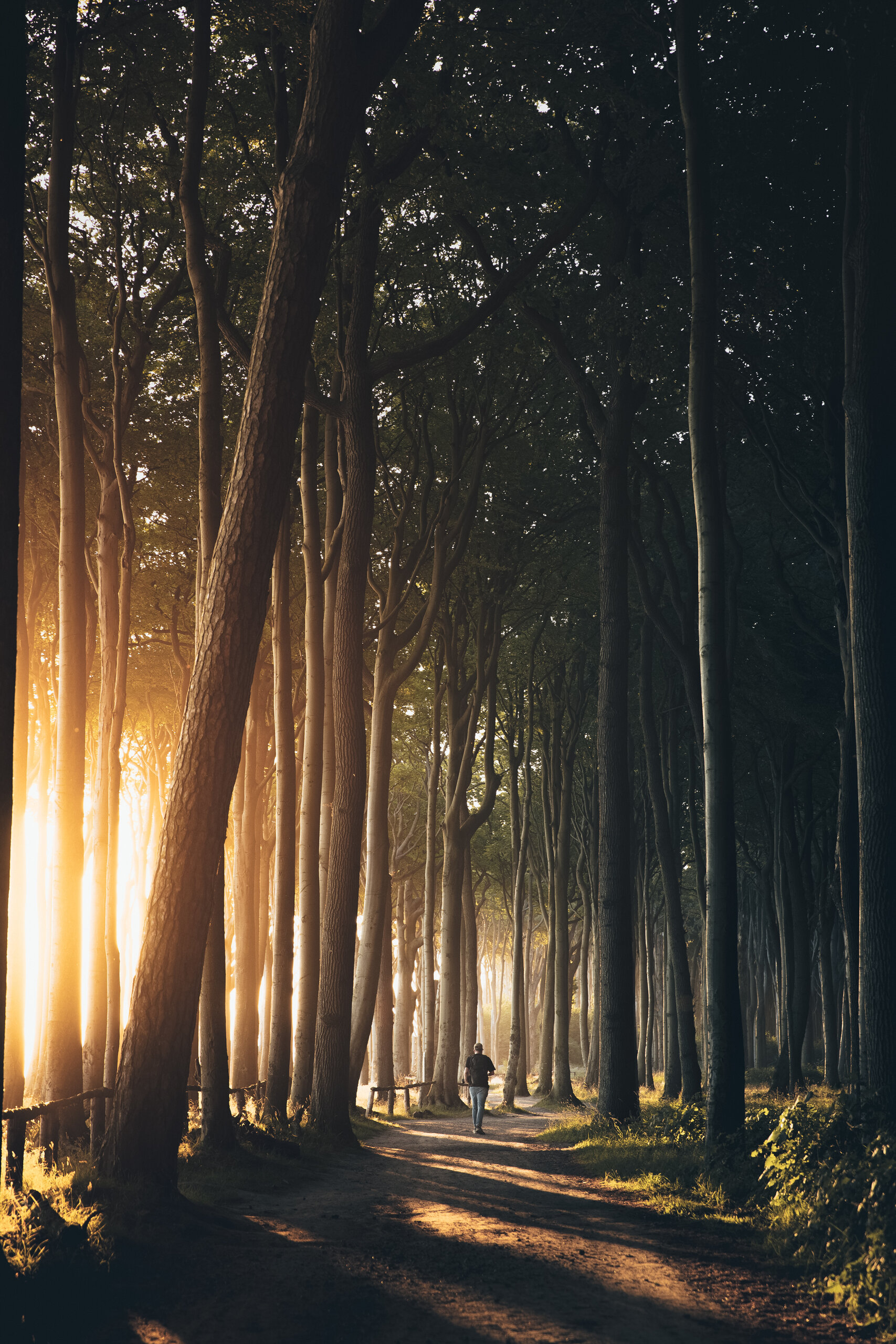 Northern Lifestyle Social Media Influencer: Photographer Spotlight Q&A ...