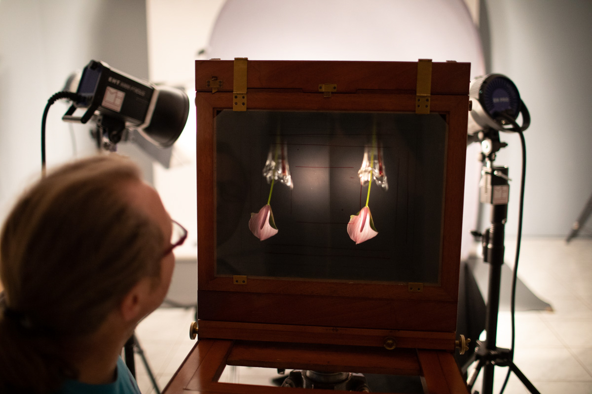 It took six months to create these ultra large 3D wet plates