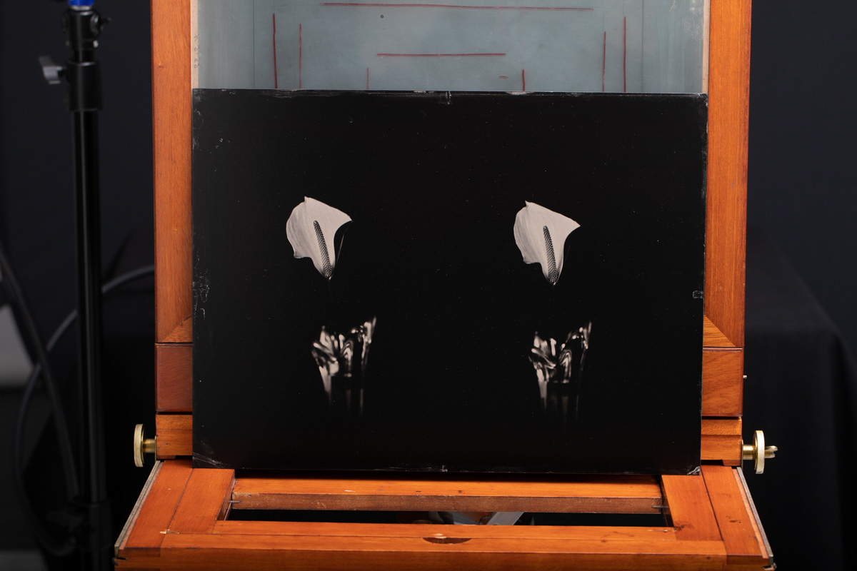 It took six months to create these ultra large 3D wet plates
