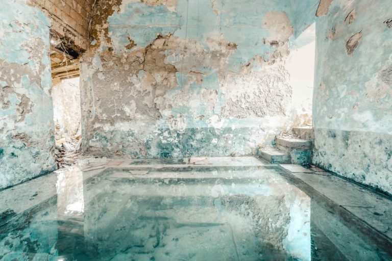 Photographer captures what happens when nature takes over human-built ...