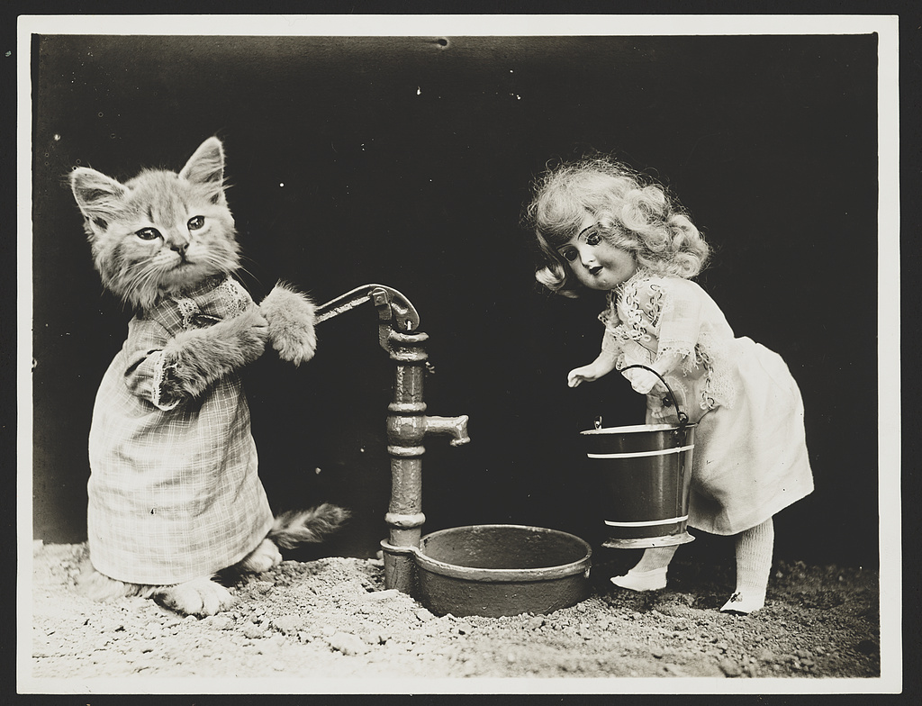 These vintage cat photos are 100 years old version of LOLcats