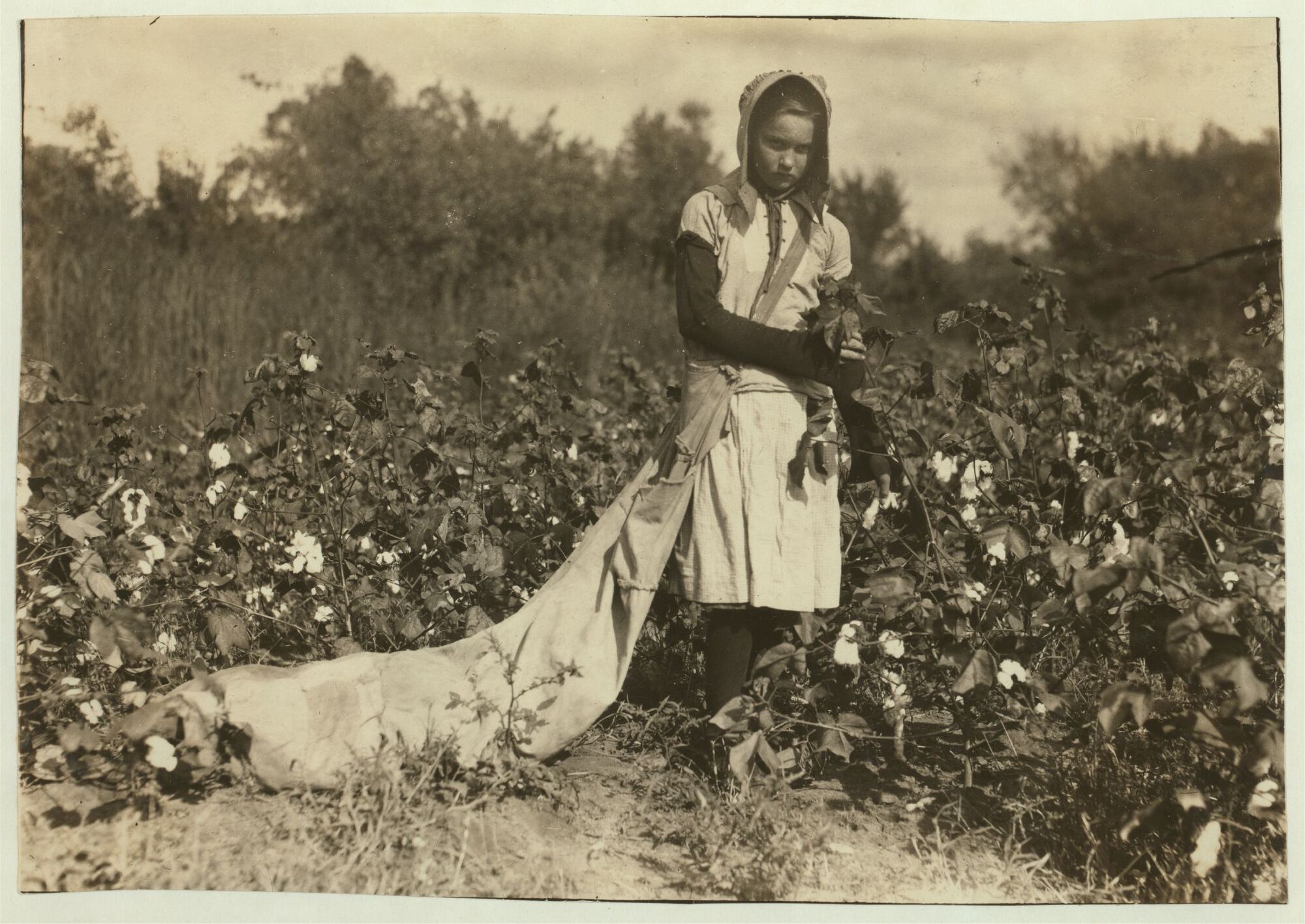 These photos ended child labor in the US