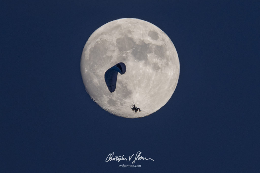 Putting a man on the moon: celebrating Apollo 11’s 50th anniversary