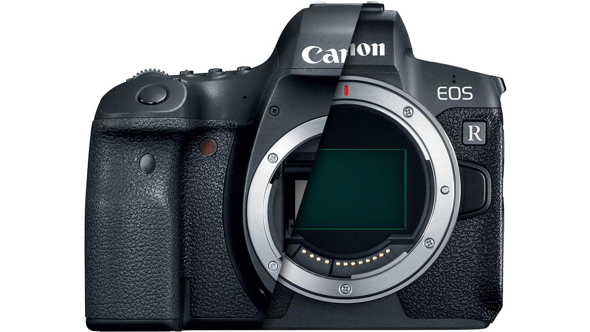 New Canon EOS R6 Specs Leak Shows A Mirrorless 6D Mark II With 4K60