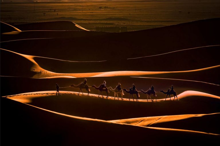 The winners of Flickr's Best Shot 2019 are absolute stunners