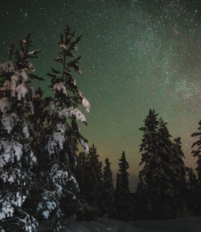 11 essential tips to master night photography like a pro