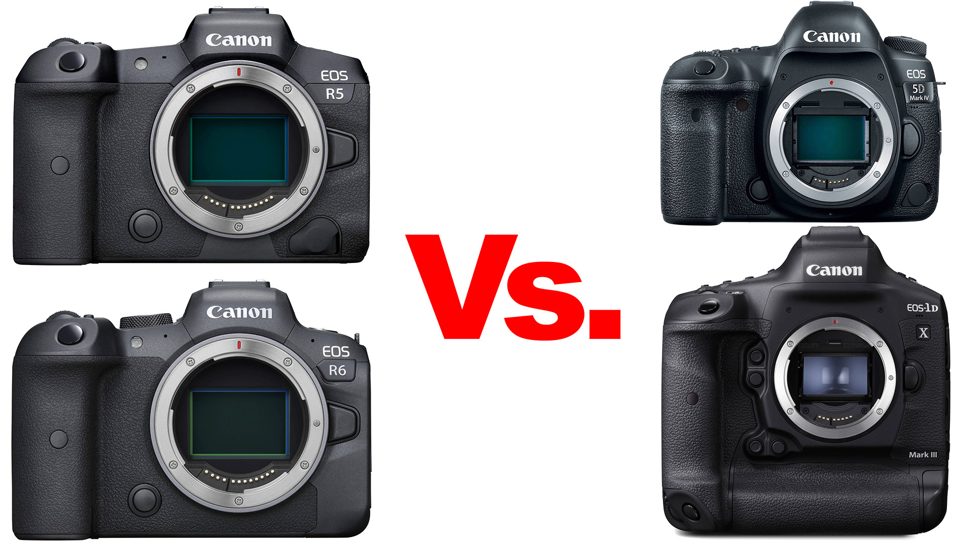 Testing The ISO Of Canon EOS R5 And R6 Vs 1DX Mark III And 5D Mark IV Testing The ISO Of Canon EOS R5 And R6 Vs 1DX Mark III And 5D Mark IV