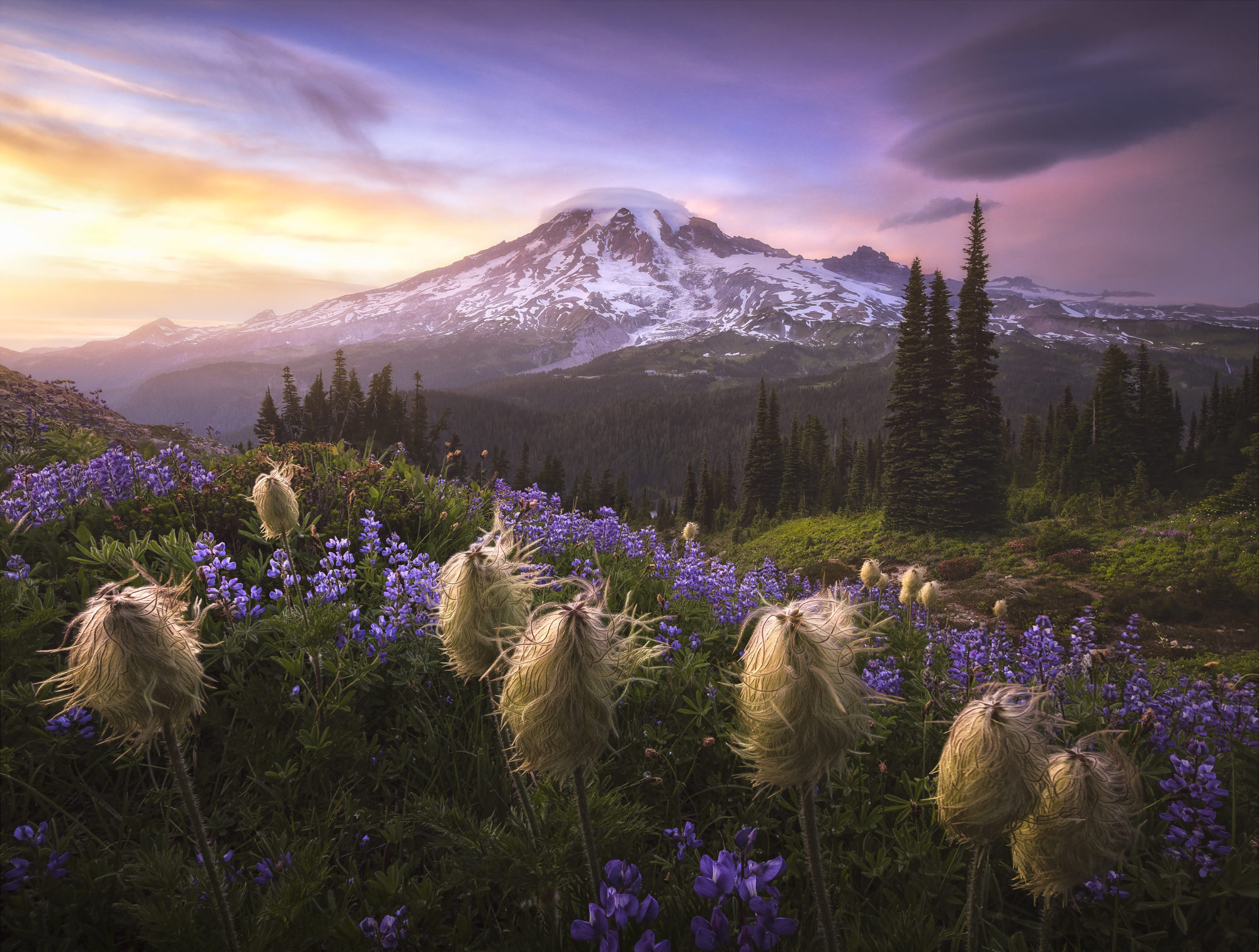 Winning photos of 2020 International Landscape Photographer of the Year ...