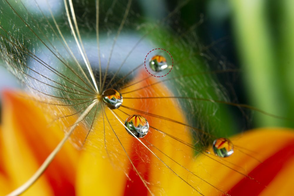 What is cross polarization and how you can use it in your photography