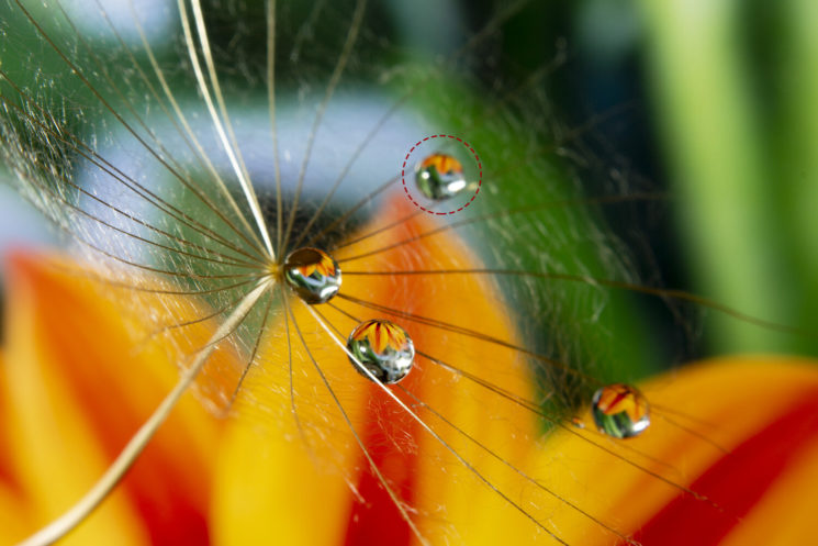 What is cross polarization and how you can use it in your photography