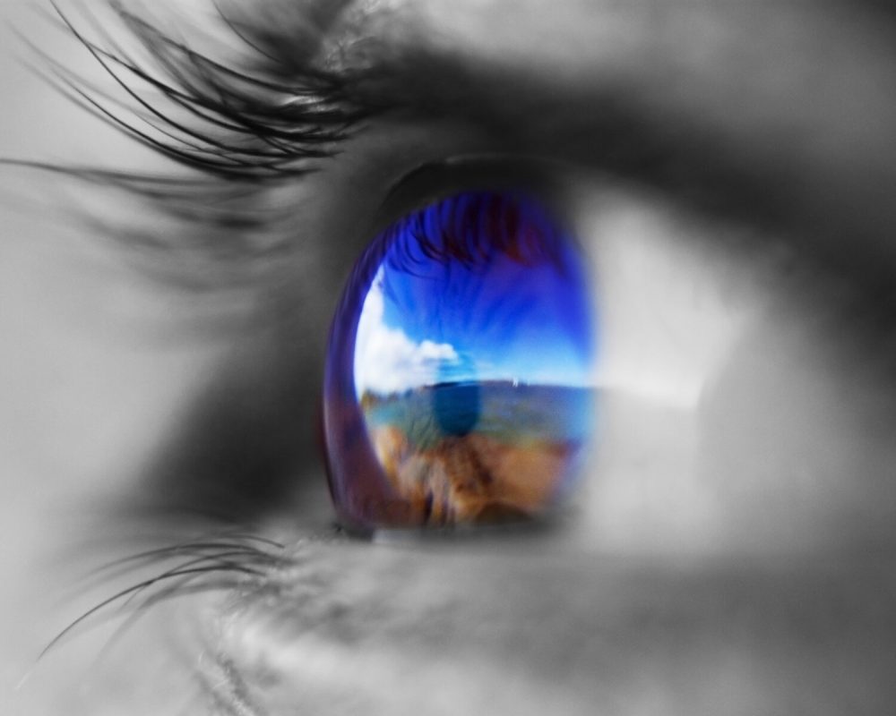 Here's the complete macro setup for photographing your own eye