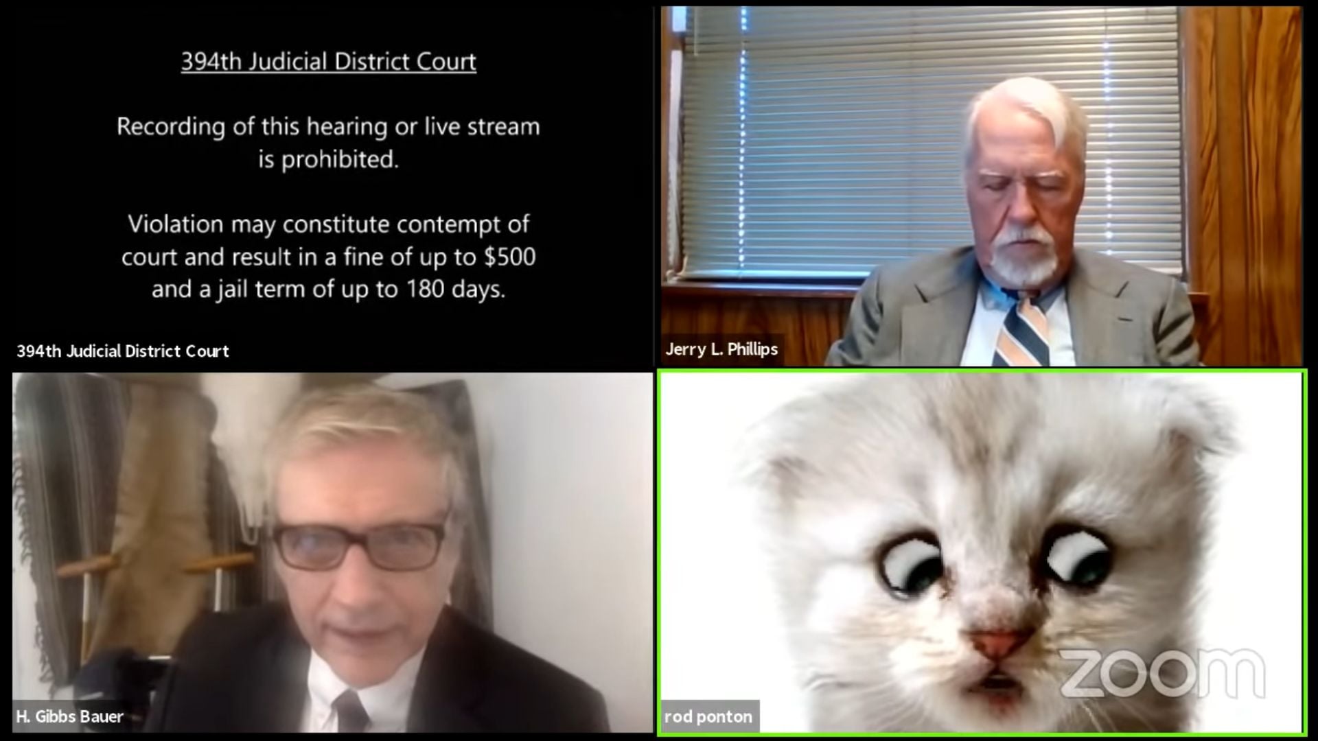 Lawyer accidentally turns on cat filter during a Zoom hearing