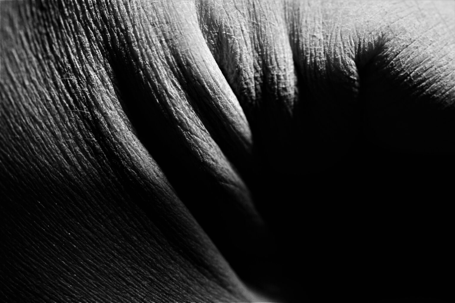 Photographer explores subconscious mind through dark and intimate skin ...