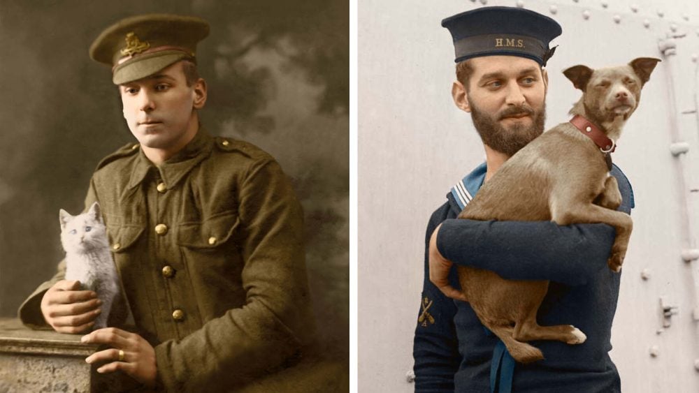 These colorized photos pay a tribute to animals of the First and Second ...