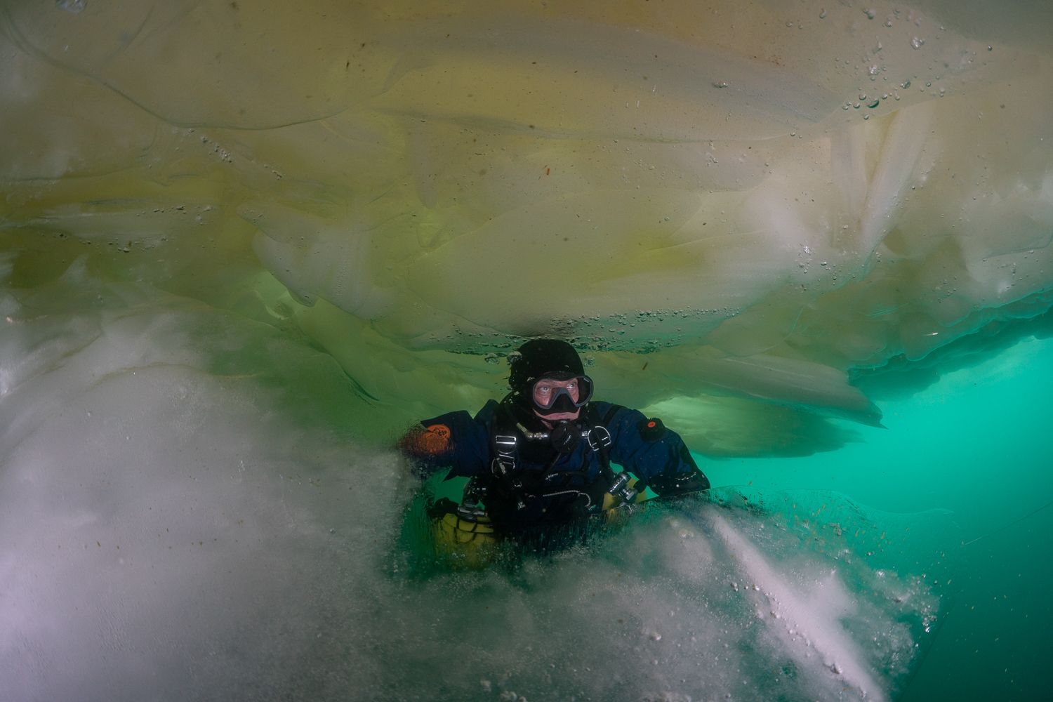 Photographer captures adorable baby seal under the ice of Lake Baikal