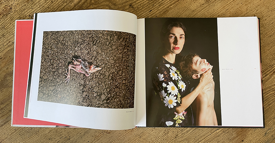 Publishing a photo book part two: Traditional publishers - DIY Photography