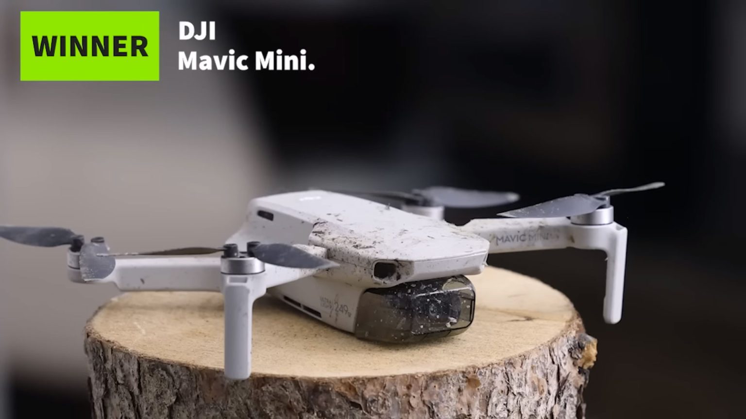 This DJI Mavic Mini goes up against a bald-faced hornet's nest and ...
