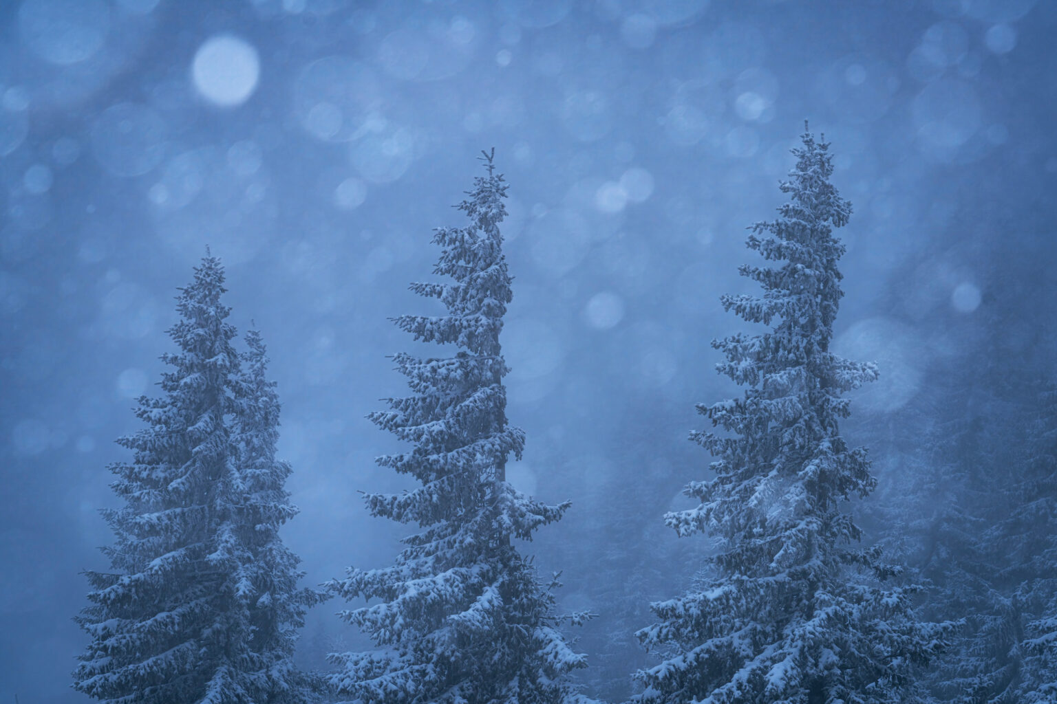 See the breathtaking photoshop-free winning images from this year's ...