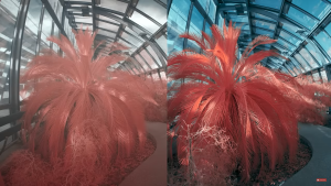 How to turn an old floppy disk into a free infrared camera filter