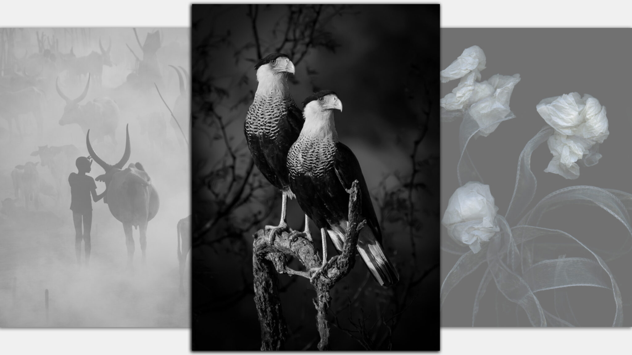 You’ll love the stunning winners of Sony World Photography Awards 2023 ...