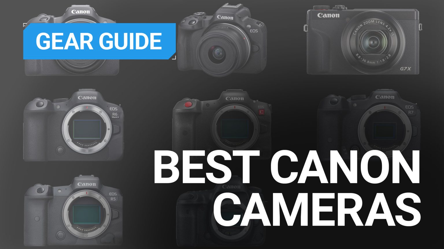 Best Canon cameras in 2024