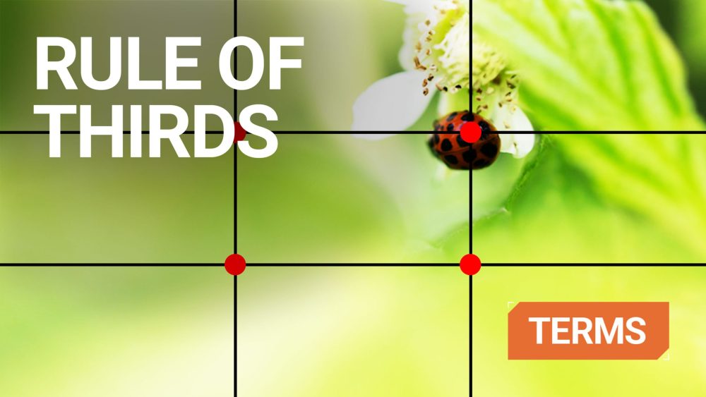What is the rule of thirds in photography?