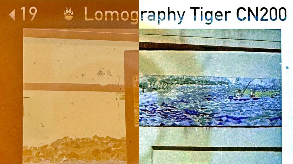 Unmask your orange negs - EZ conversion of color negative scans
