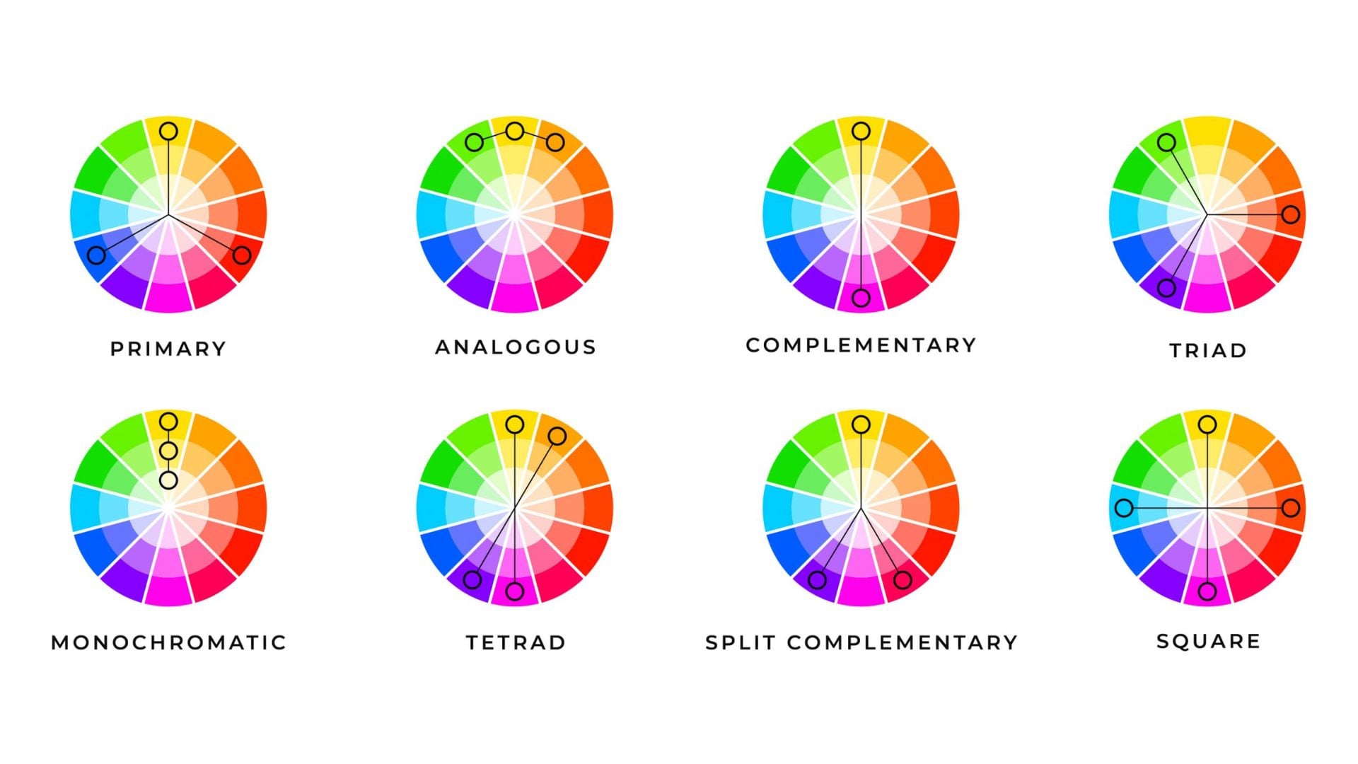 Color Theory Photography: Complete Guide to Color Wheels
