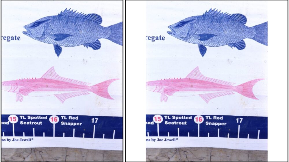 Photo Color Management: sRGB vs Adobe RGB Guide